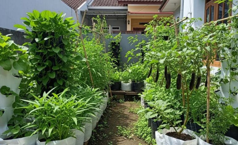 Cara Menyiram Tanaman yang Baik dan Benar: Panduan Lengkap untuk Pemula