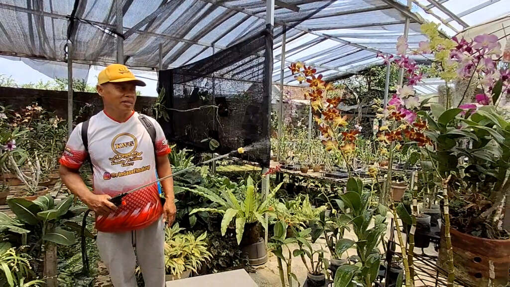 Taman Anggrek Sutikno: Raih Untung Ratusan Juta dari Venue Wedding ...